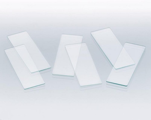 microscope slides uk