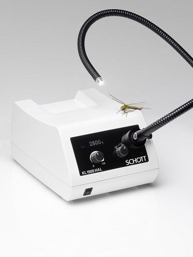 SCHOTT KL1500 HAL Halogen Cold Light Source - Galvoptics